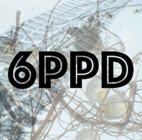 Grad Student for 6PPD Project – Queen's Experimental Ecotoxicology for ...